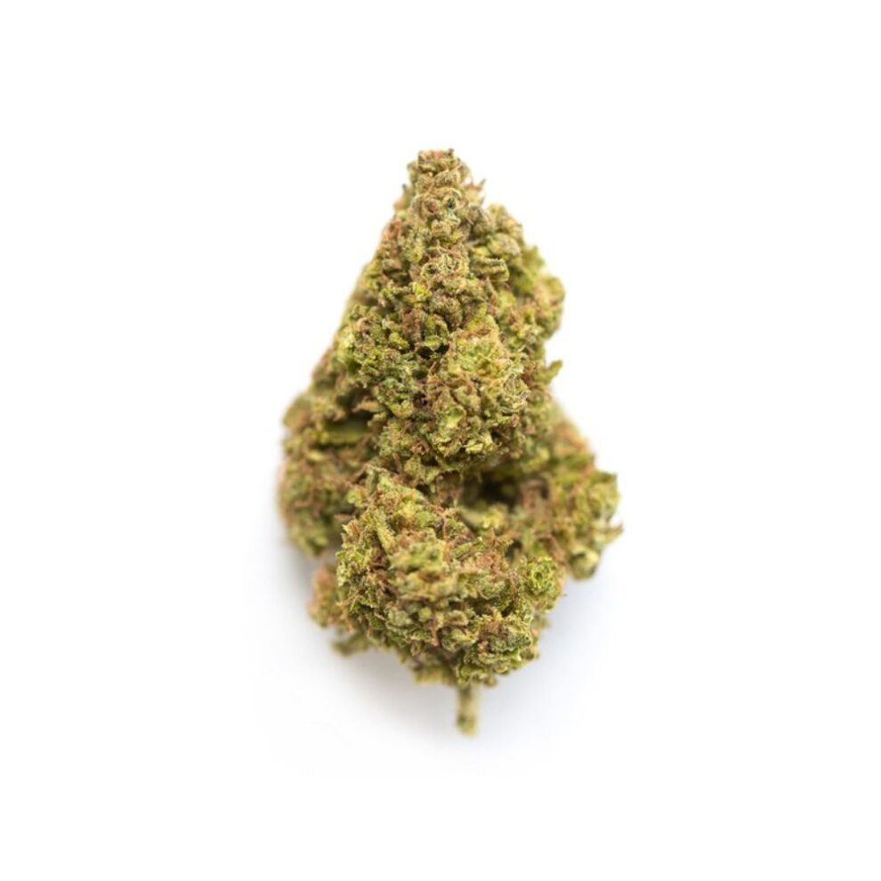 Bud Hub Weed Delivery - Same Day Weed Delivery Langley